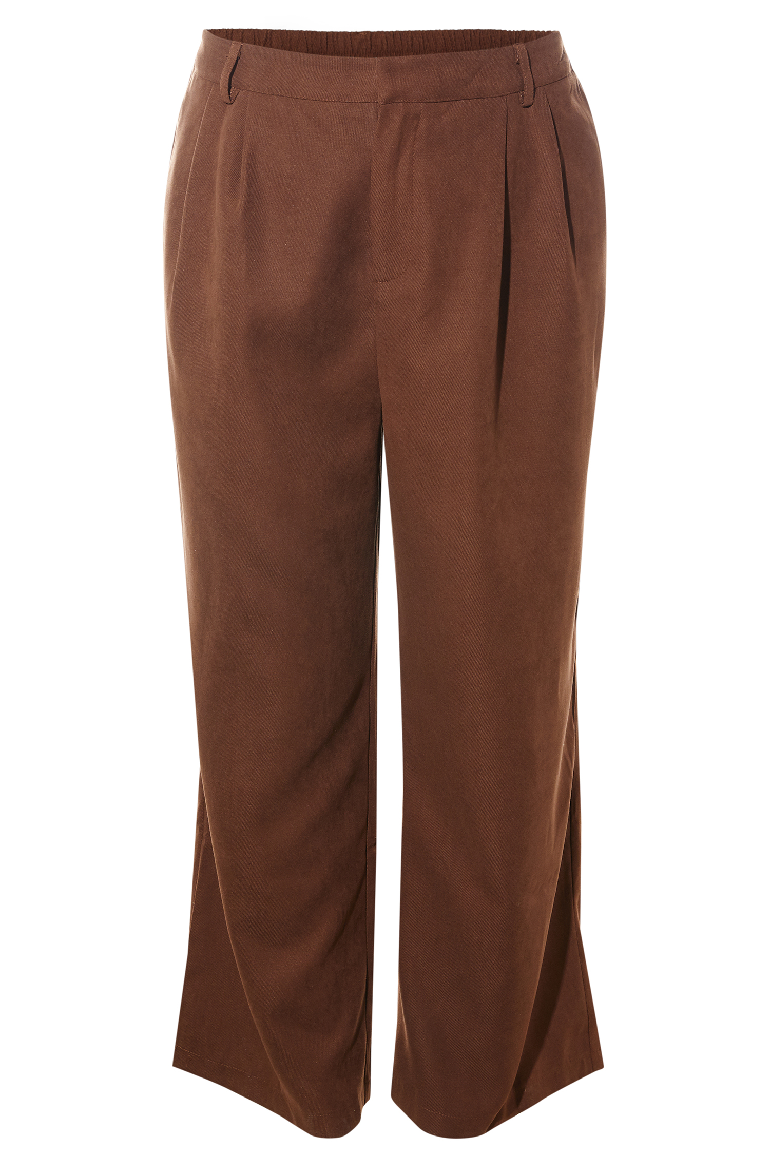 High Rise Pleated Pants in Brown | DAILYLOOK
