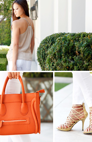 Midas Touch | DAILYLOOK