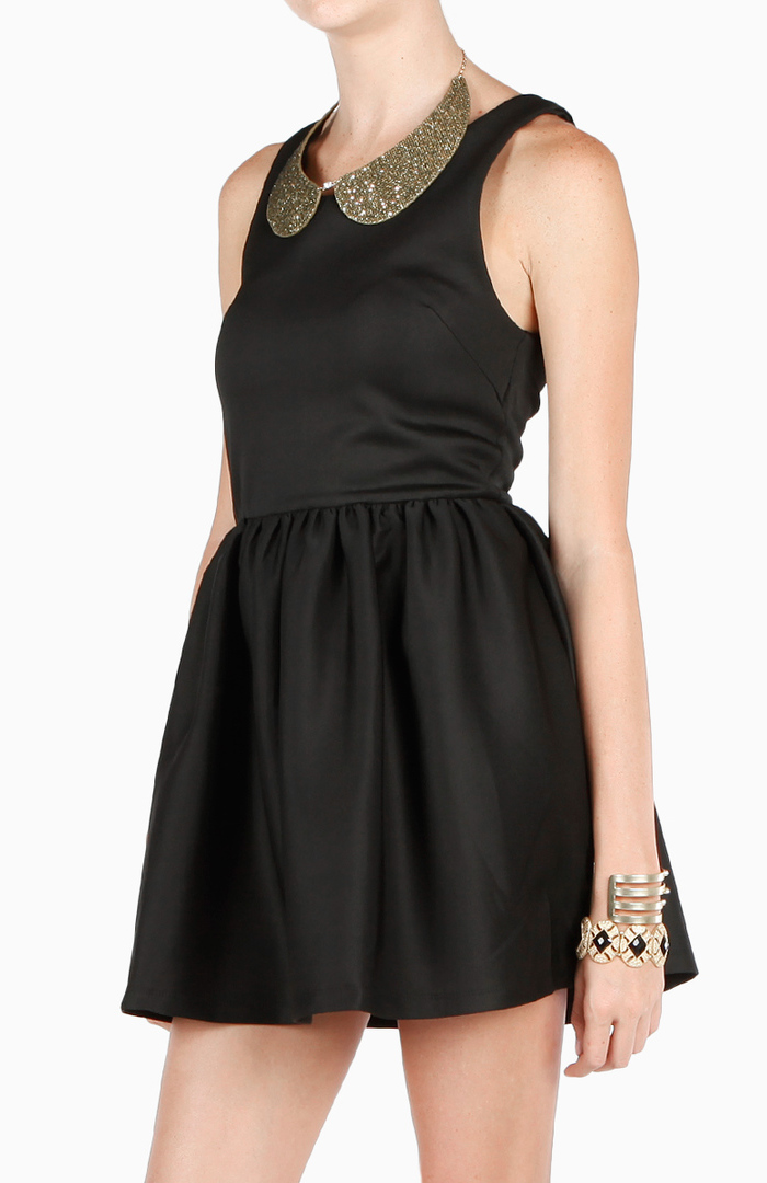 Sleeveless Fit And Flare Dress In Black Dailylook
