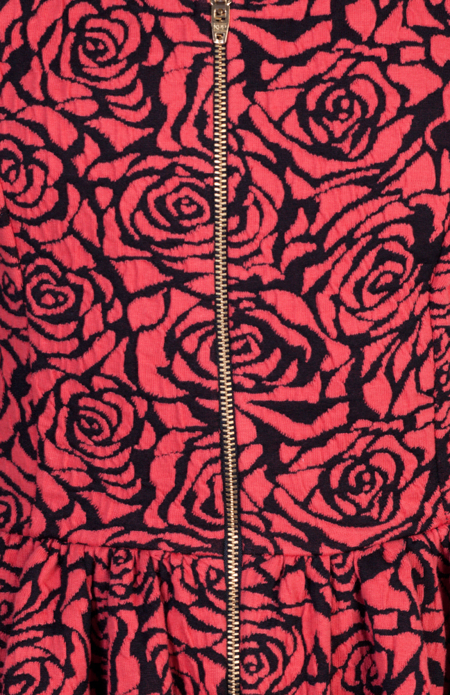 Zipper Front Rose Dress in Red | DAILYLOOK